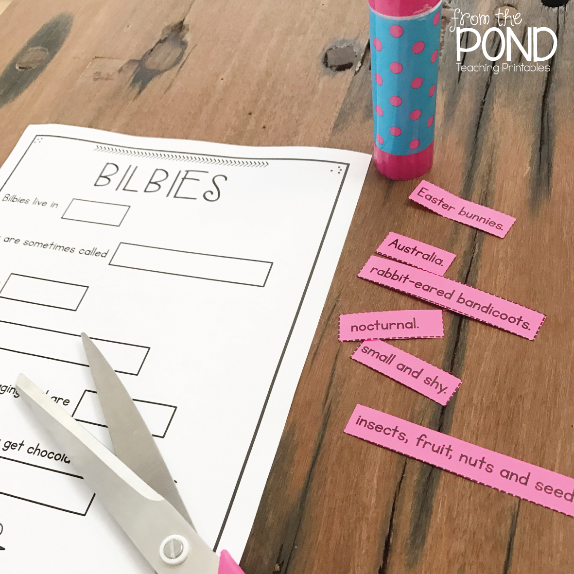 The Easter Bilby {craft and research} | From the Pond