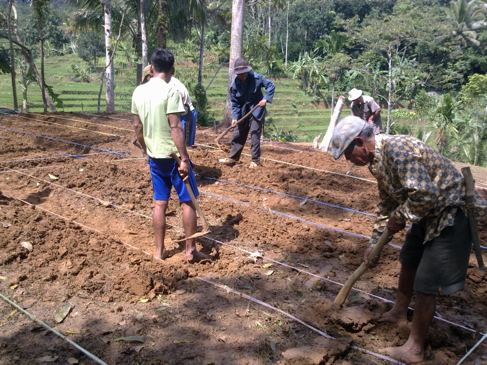 BEDENG SAPIH ~ IIS YUNINGSIH