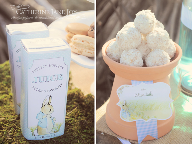 Serendipity Soiree: {Parties} Here comes Peter Rabbit...a whimsical ...