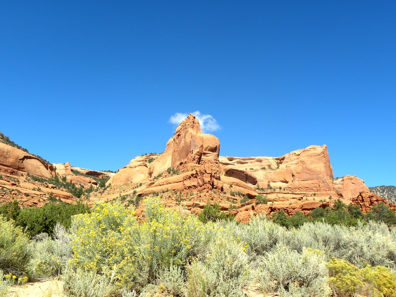 Mutton Stew & Frybread: October 2010. Day Trip from Shiprock New Mexico ...