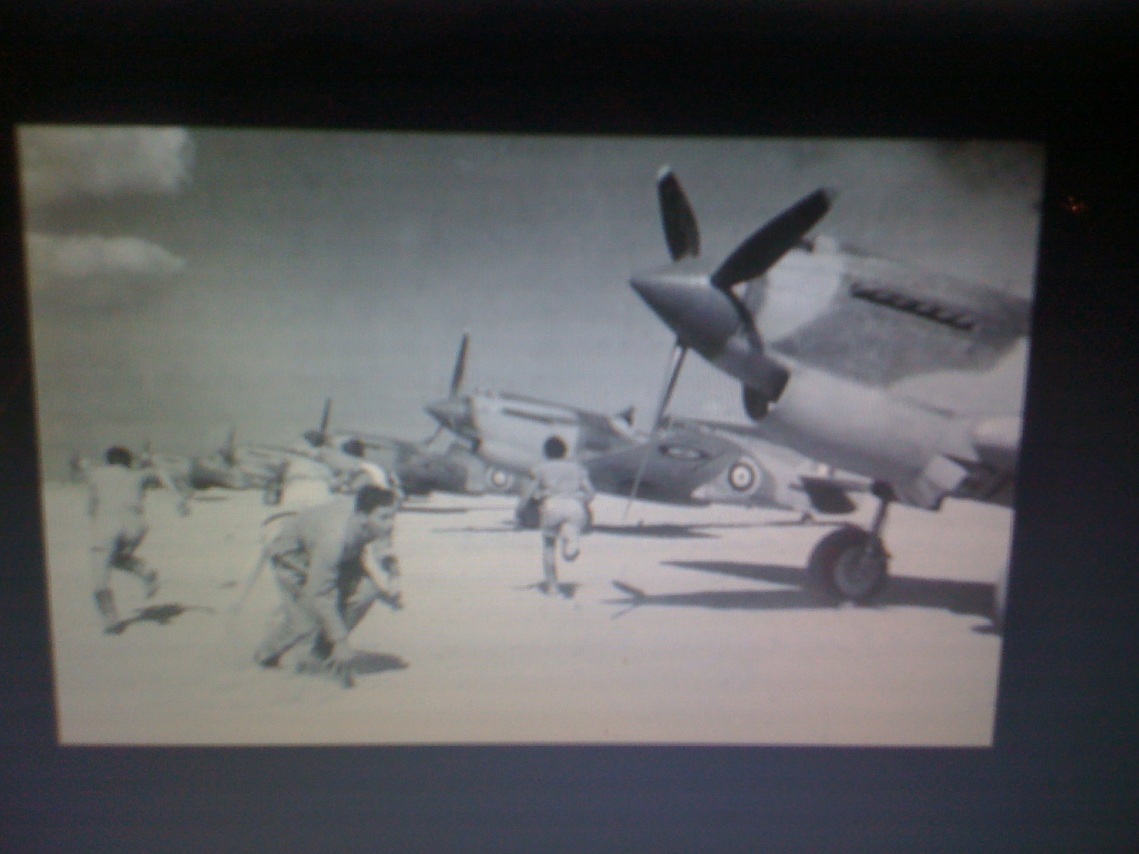 THE BLACK SOCIAL HISTORY:: BLACK SOCIAL HISTORY : AFRO-AUSTRALIAN THE ...