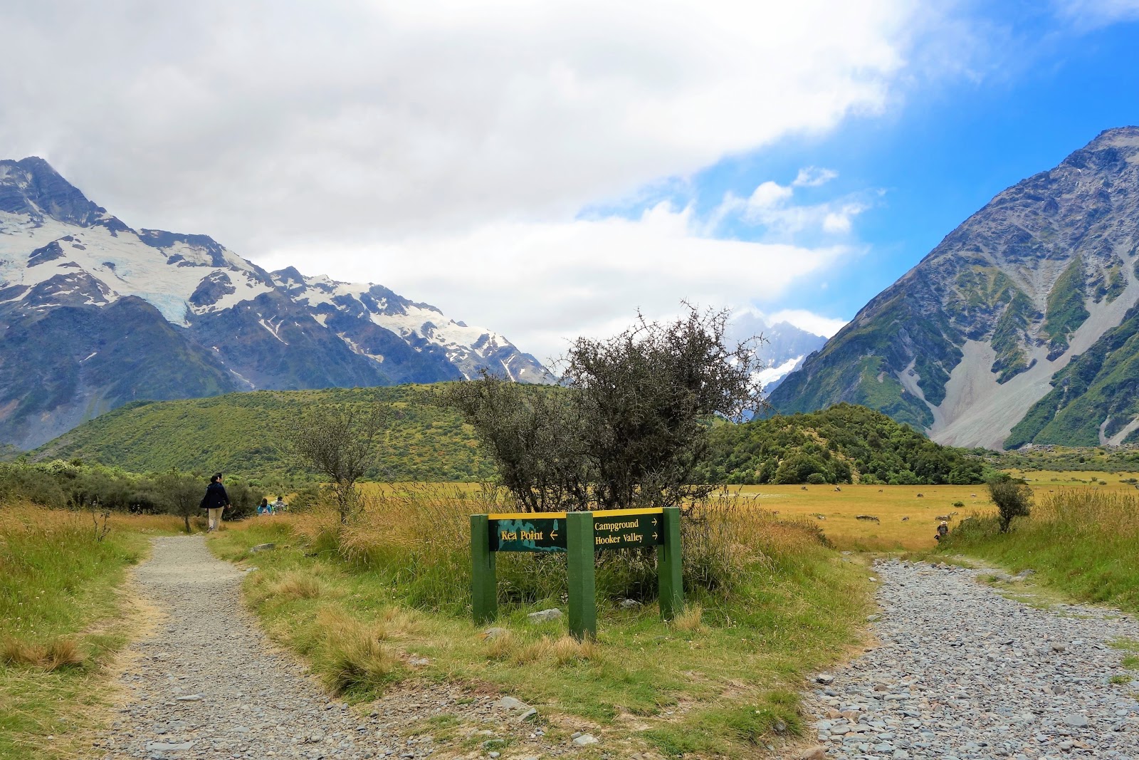 2019夏紐西蘭-庫克山步道(Kea Point Walk)健行