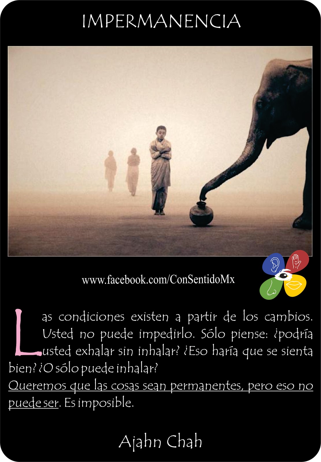 conSentido: IMPERMANENCIA