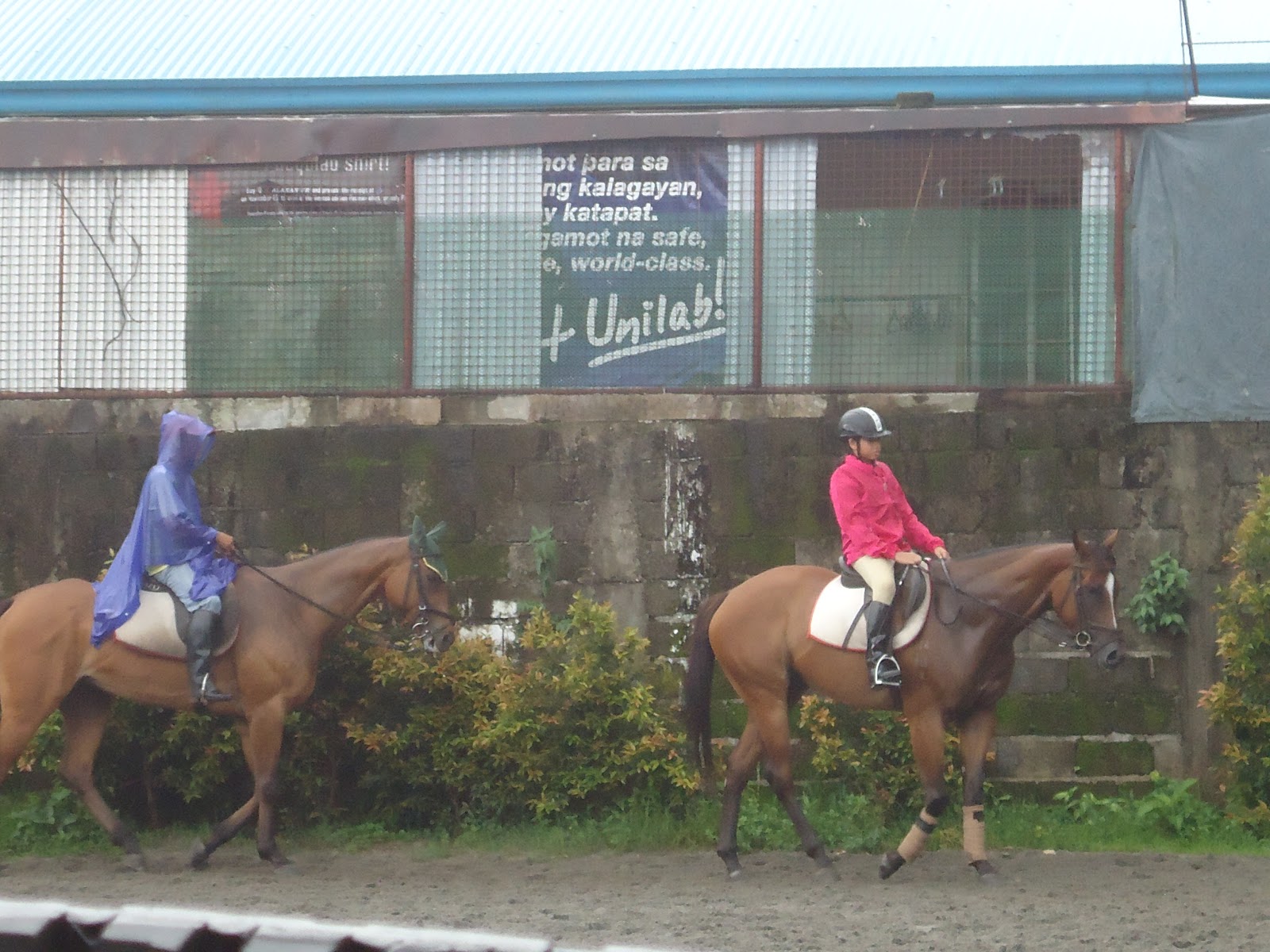 Horse Riding Philippines: 2012