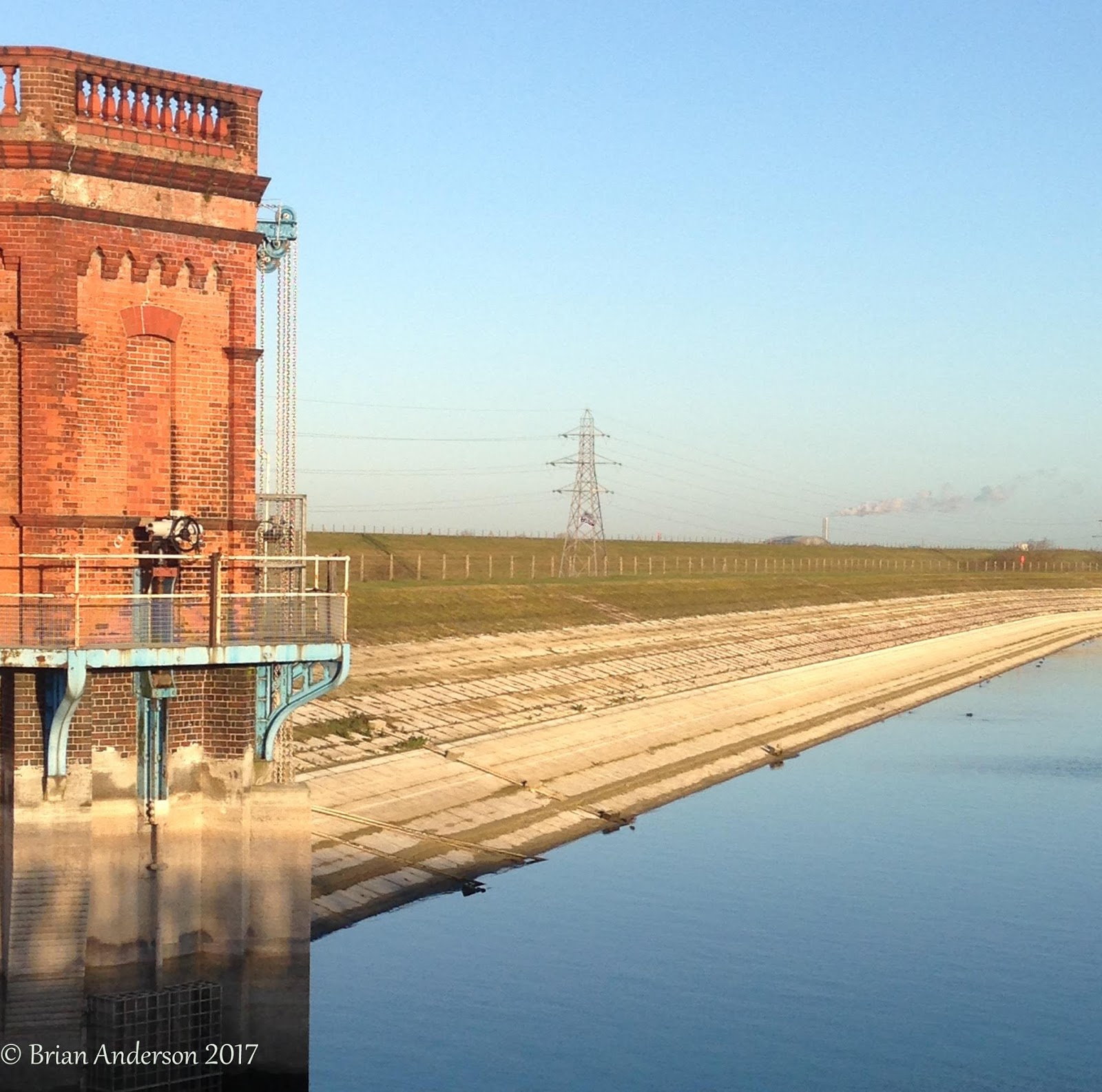 Brian's birding blog: Horned Lark at Staines in the bag for ron.