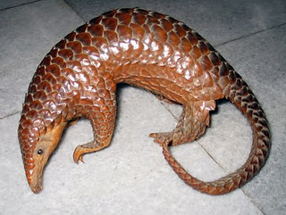 smart_ebook: Trenggiling