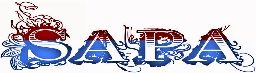 SAPA: Introducing your new SAPA Committee