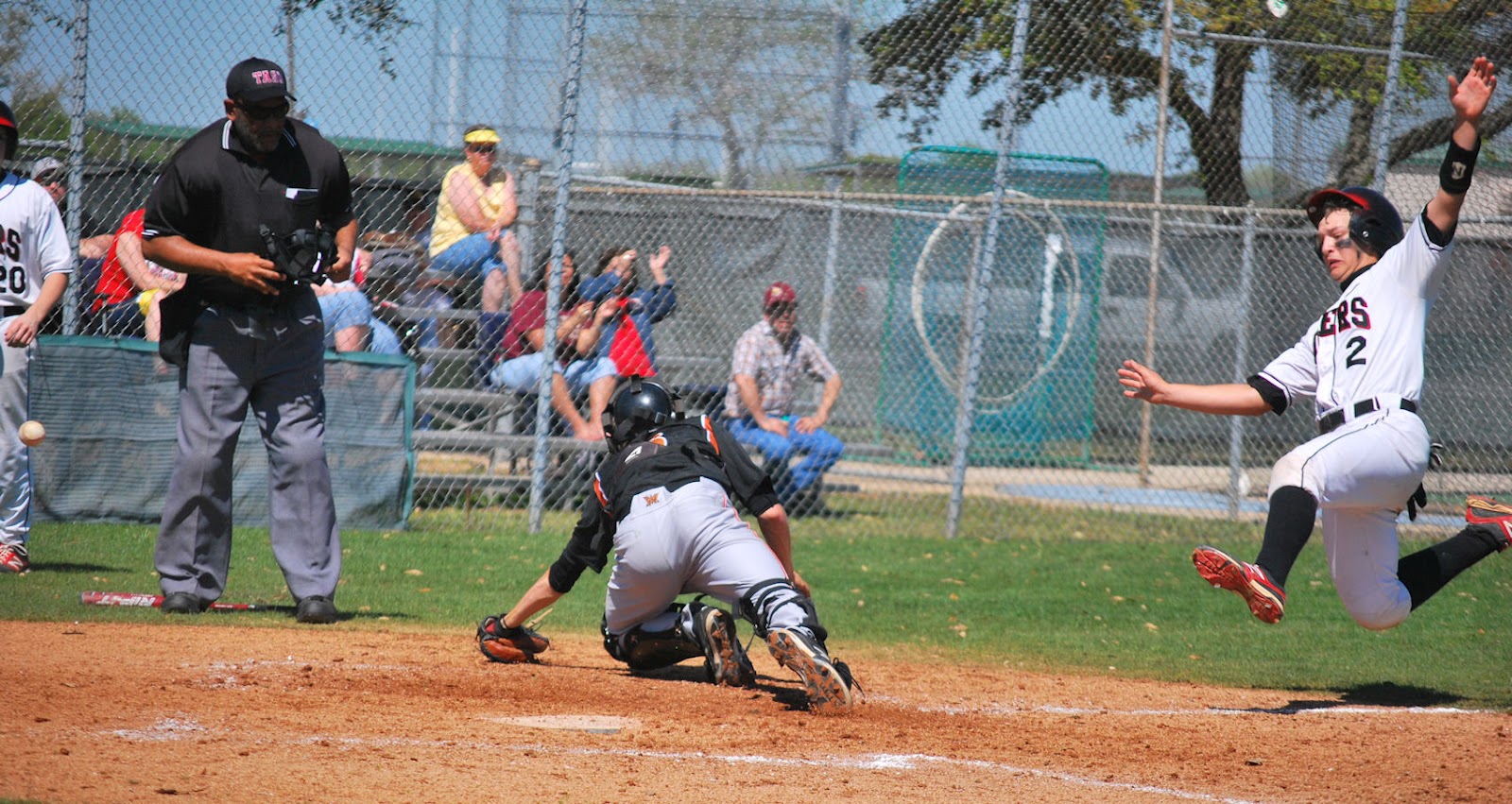 Terrell Daily Photo: 3/1/12 - 4/1/12