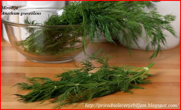 prirodno lecenje biljem