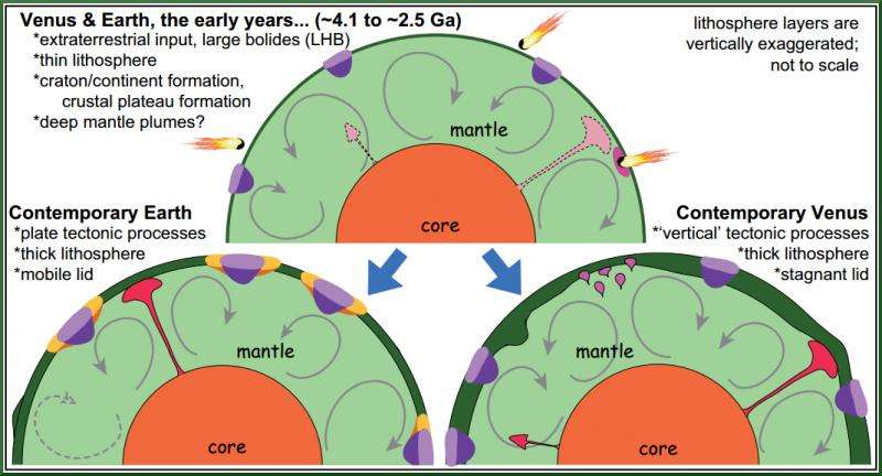 Impact origin of archean cratons: Learning from Venus