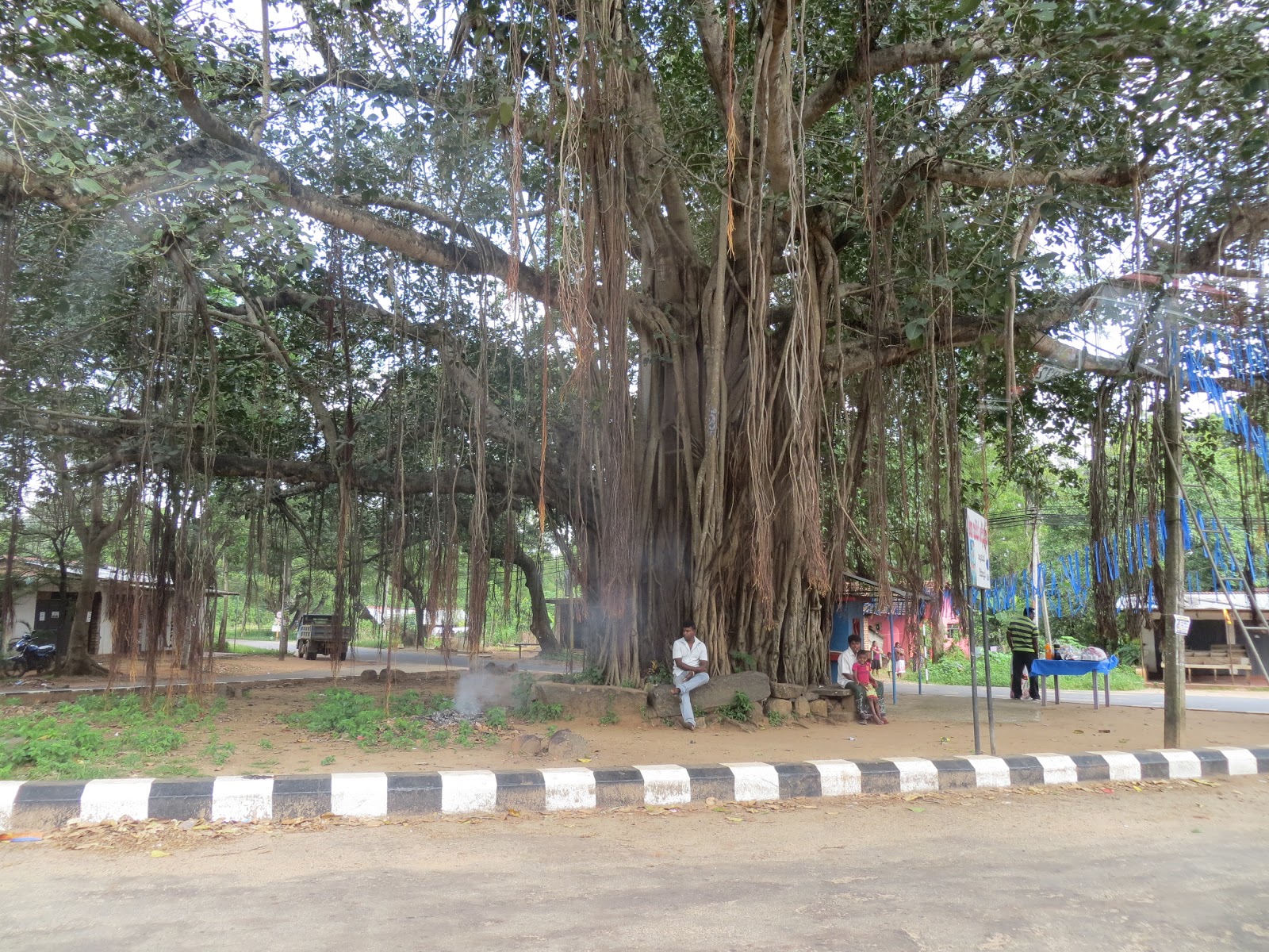 viaggiare per culture: SL (3) Aukana e Kekirawa