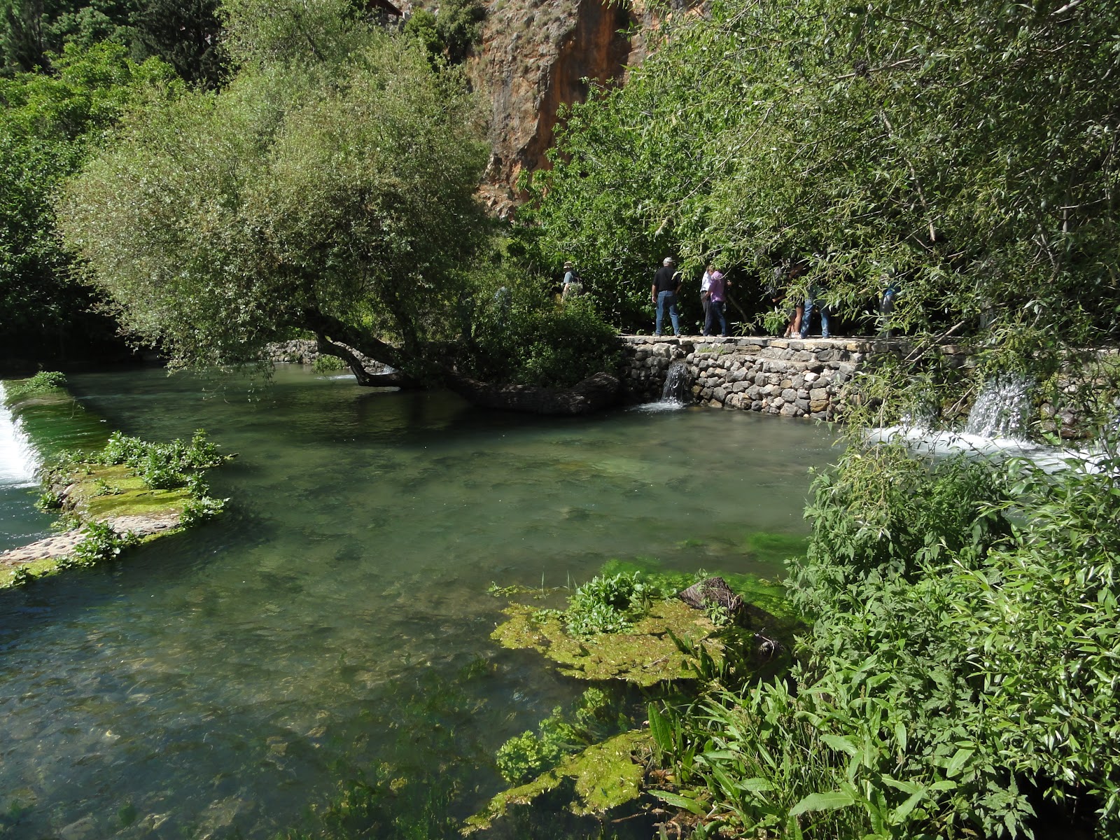 Carol's Corner: Banias Spring