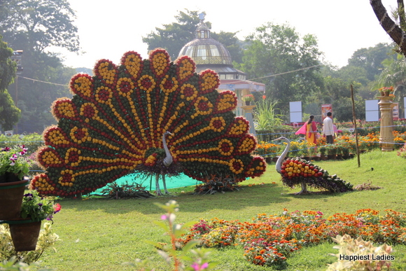 Mysore Dasara Flower Show 2015 - A Glimpse - Happiest Ladies