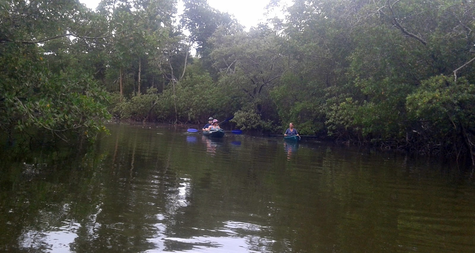 Cruising - Team Rogers: Kayaking the Ding Darling Trail