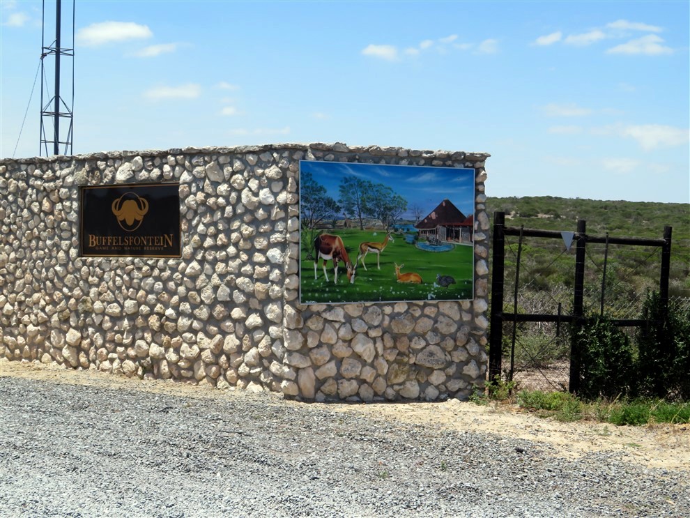 1camera1mom: Buffelsfontein Game Reserve - Part 1