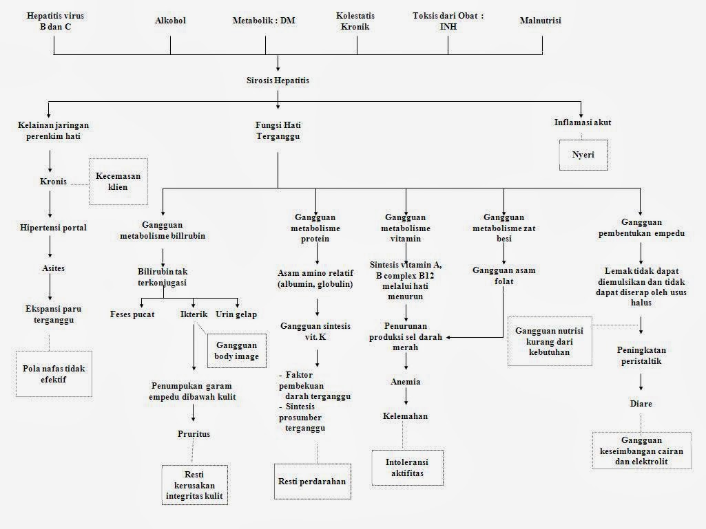Pathway Sirosis Hepatis Pathway Patofisiologi