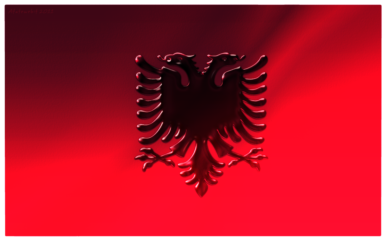 Ata të webit: marzo 2011