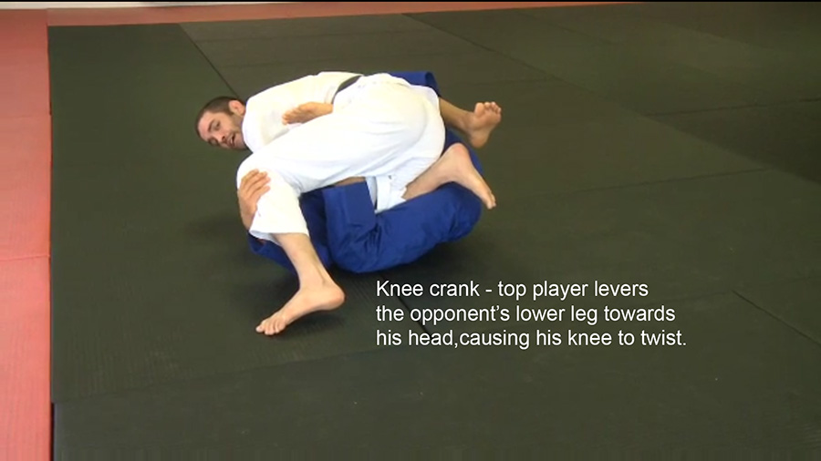 DVD Review - Legal Leg Locks For Brazilian Jiu Jitsu, Roli Delgado ...