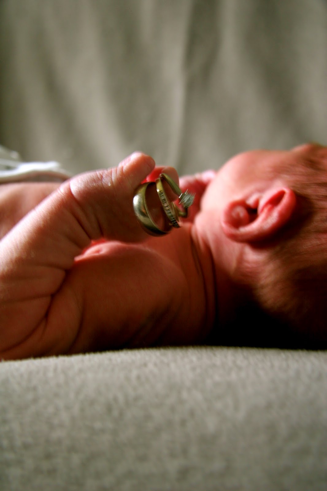 Giorgi Branding : Newborn Session - Sweet Baby Luke
