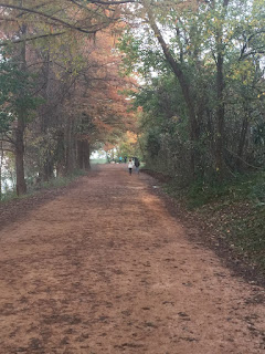 Downtown Austin Living Blog