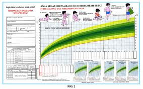INFO PKM POTO TANO: Kartu Menuju Sehat (KMS)