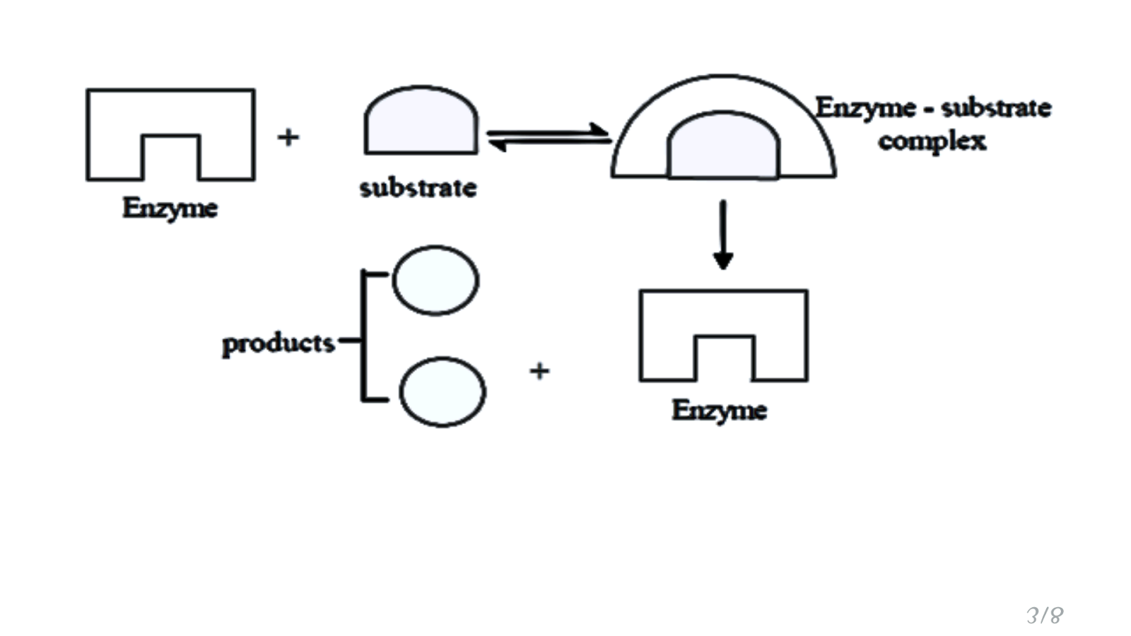 ENZYMES : CLASSIFICATION, PROPERTIES, EFFECTS,TYPES,FACTORS