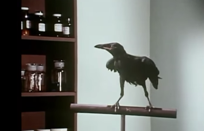 John Kenneth Muir's Reflections on Cult Movies and Classic TV: The Cult ...