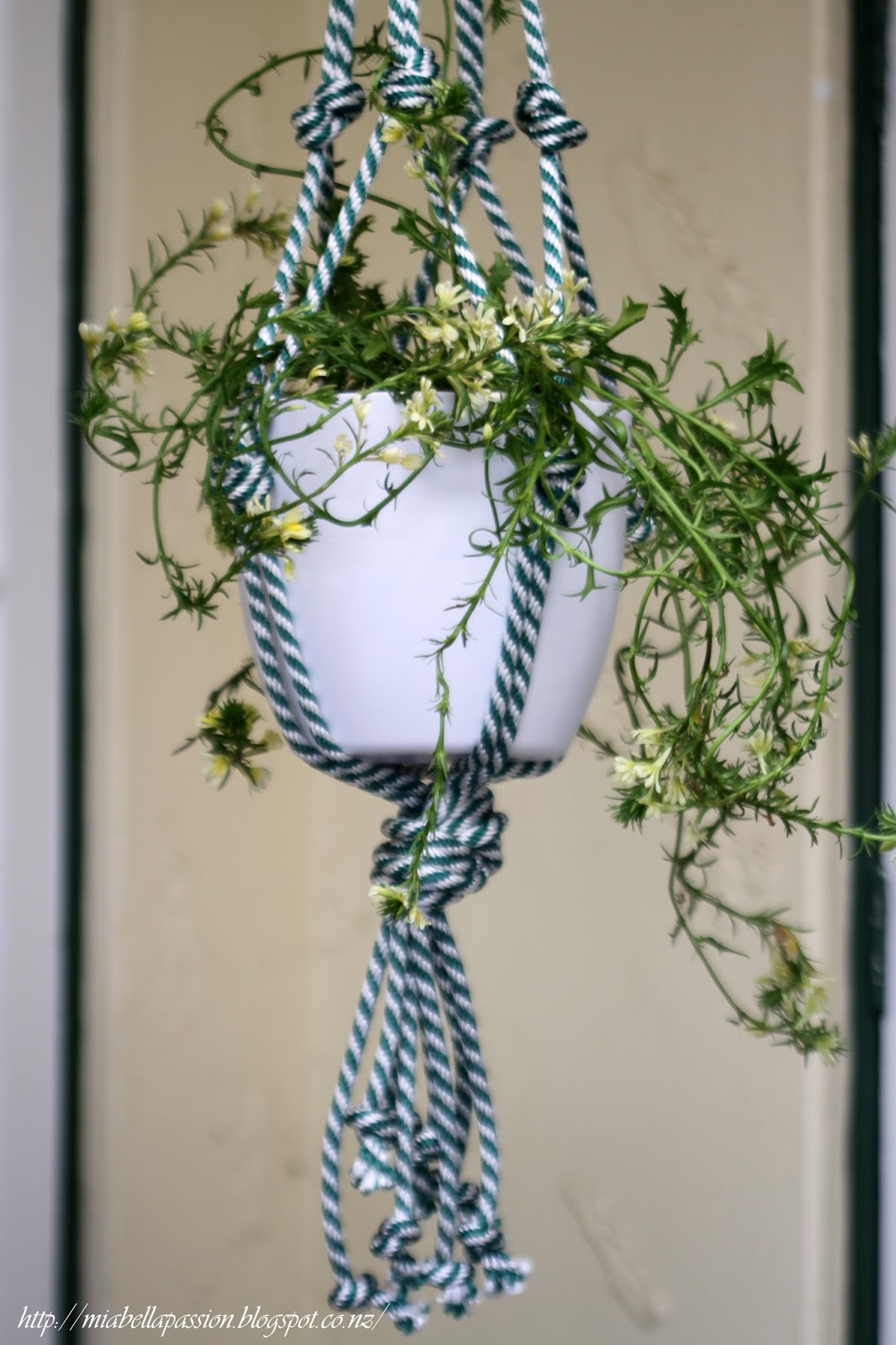 DIY Chunky Rope Pot Plant Hanger...