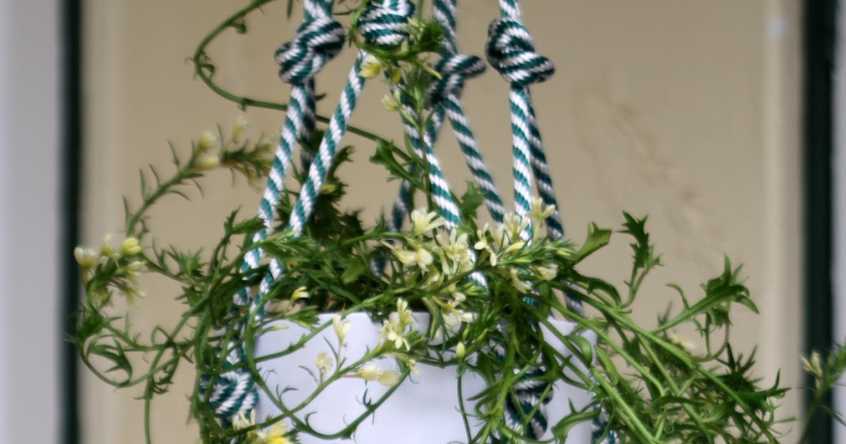 DIY Chunky Rope Pot Plant Hanger...