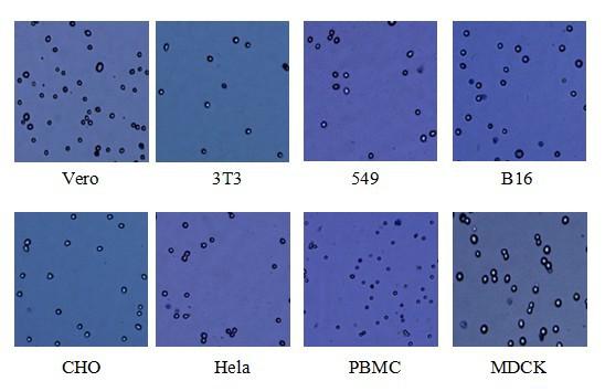 Countstar® BioTech Automated Cell Counter