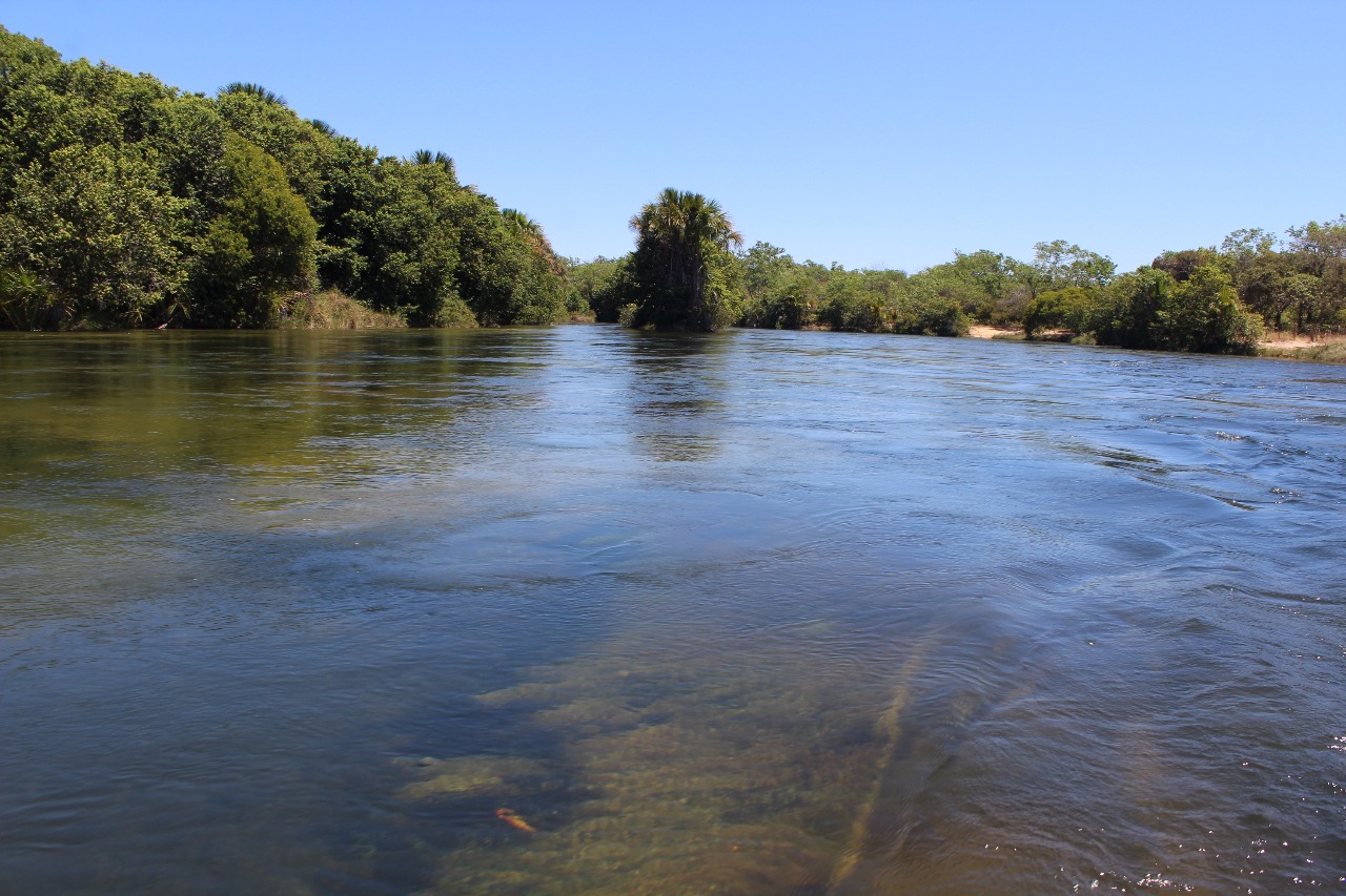 FOLHA DE FORMOSA NEWS: ABAPA CAPACITA TÉCNICOS PARA RECUPERAÇÃO DE ...