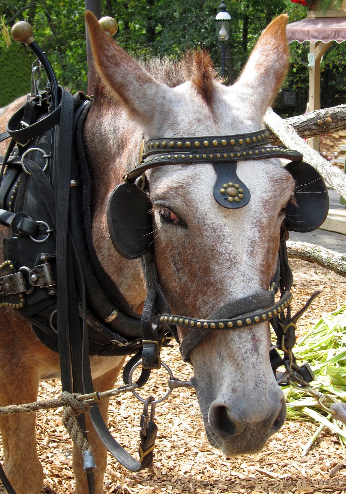 Happier, healthier, more productive YOU!: May 2015