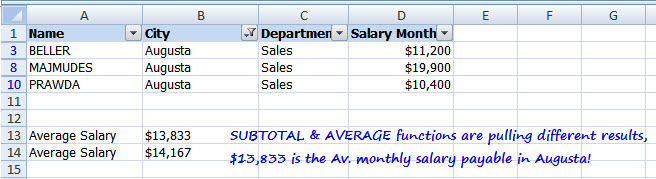 Microsoft Excel Tips: MS Excel: Subtotal Function and Filter