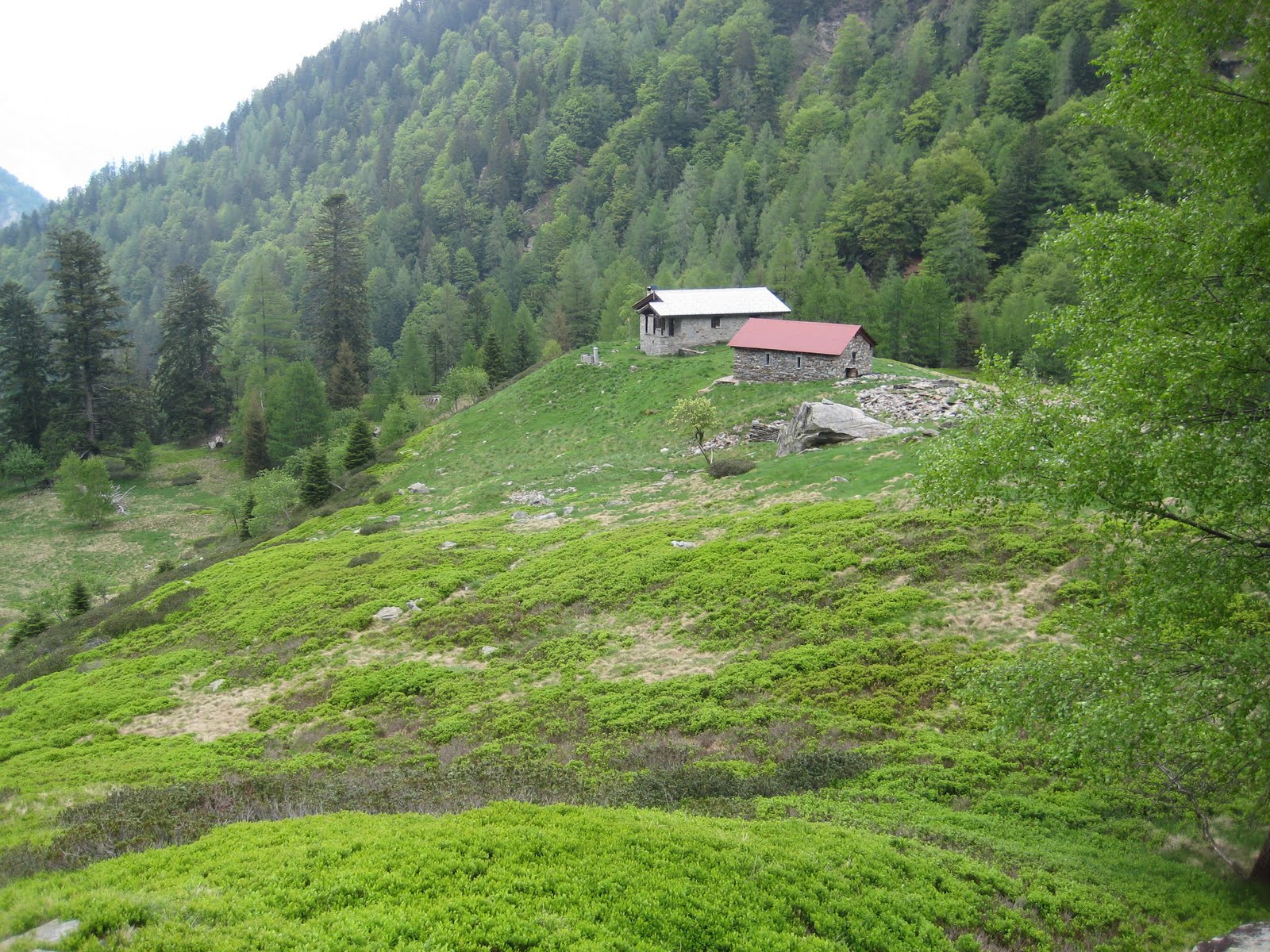Vagare tra le cime: Alpe Gariss - Patriziato di Preonzo (Ti)