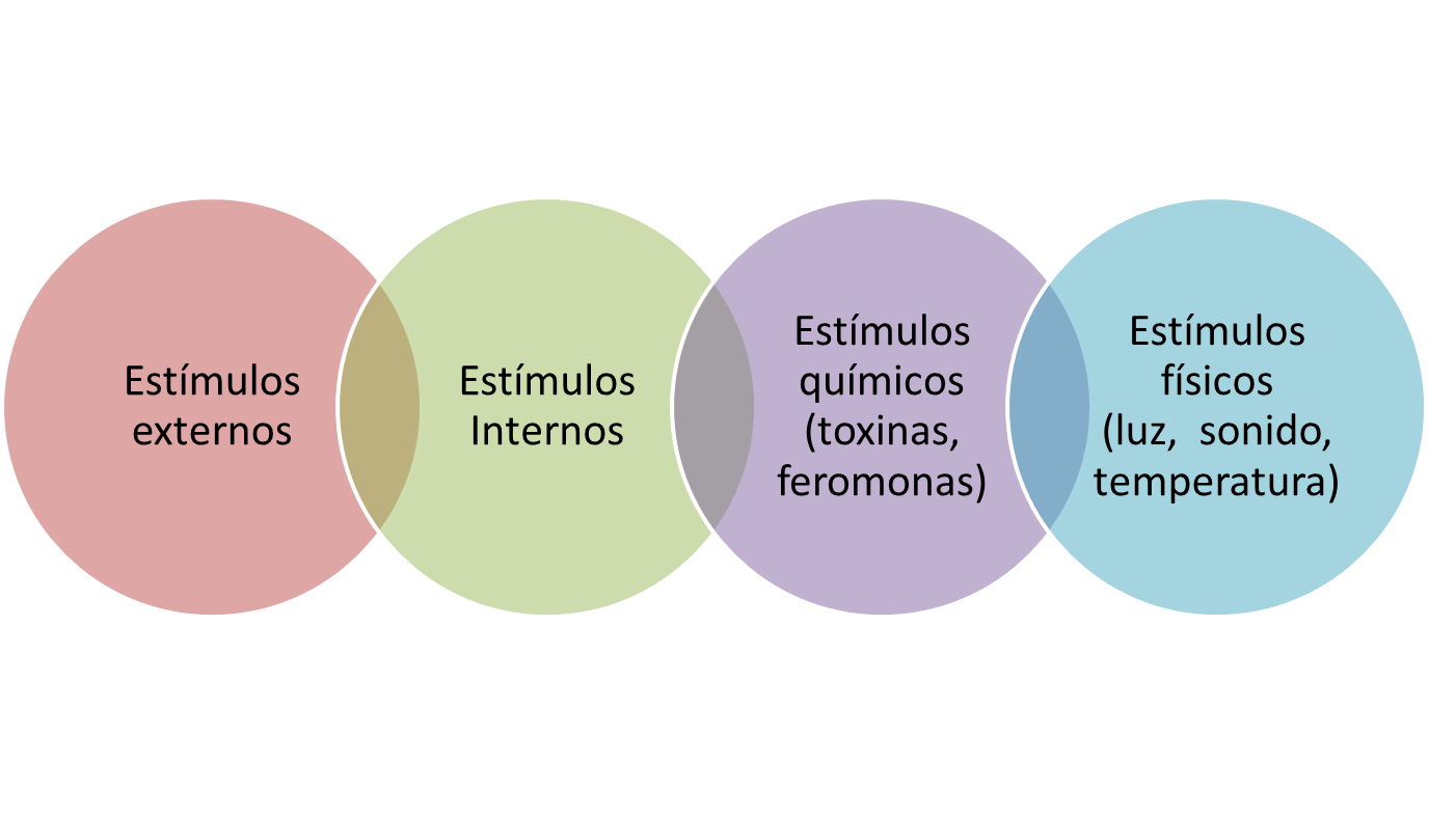 Ciencias en el bosque: Estimulos y respuestas