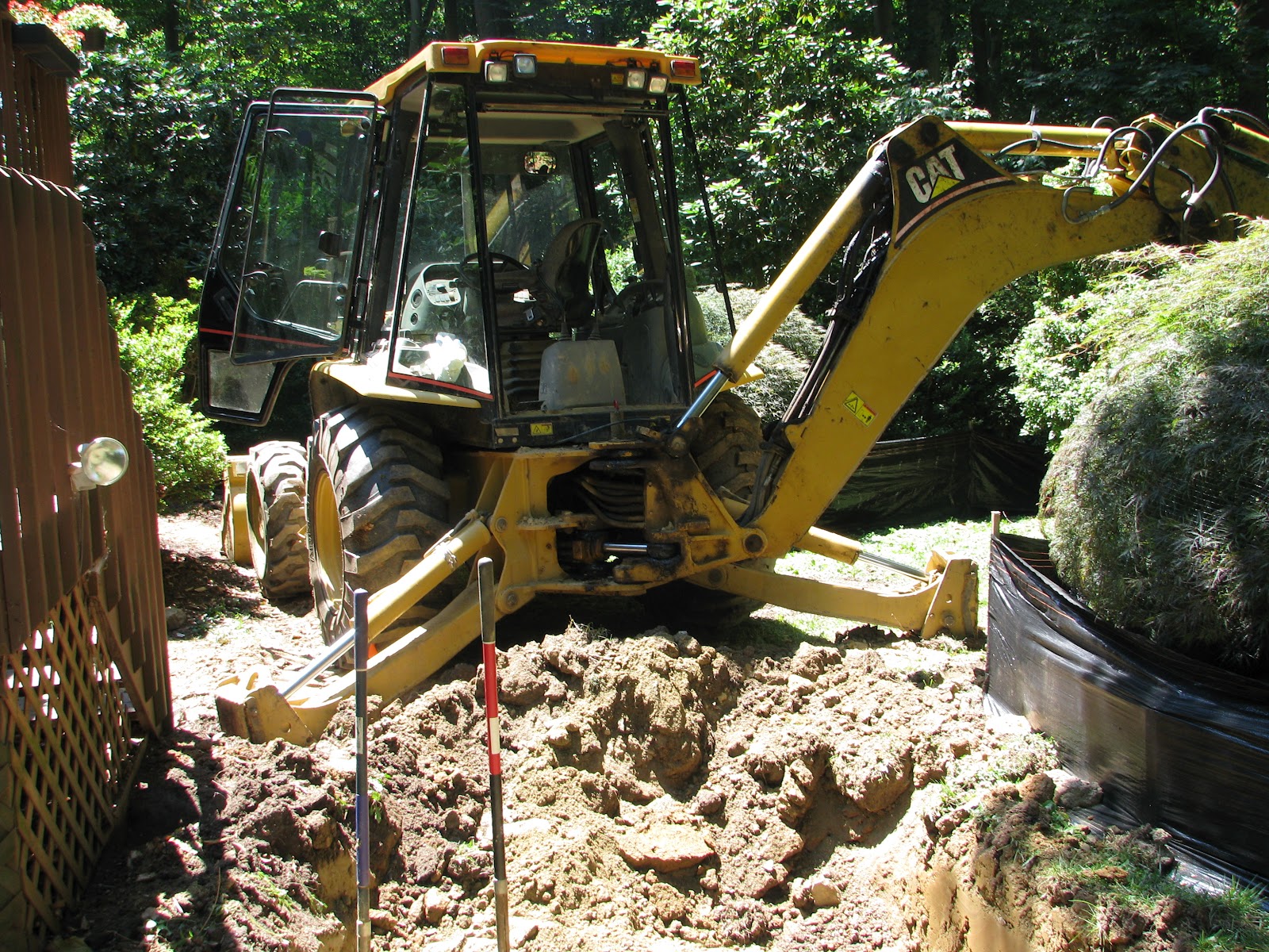 Designs by Pinky: ~~~DISASTER in the Backyard!!!~~~