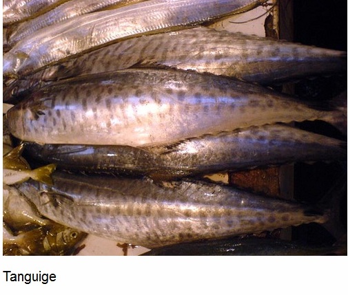 Simple Pleasures: Seafood : Tanguige (Kingfish or Spanish Mackerel)