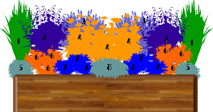 El jardin de mi abuela: Un cantero para el sol de la tarde