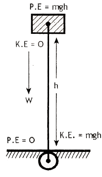 education sight: Interconversion of Kinetic Energy and Potential Energy