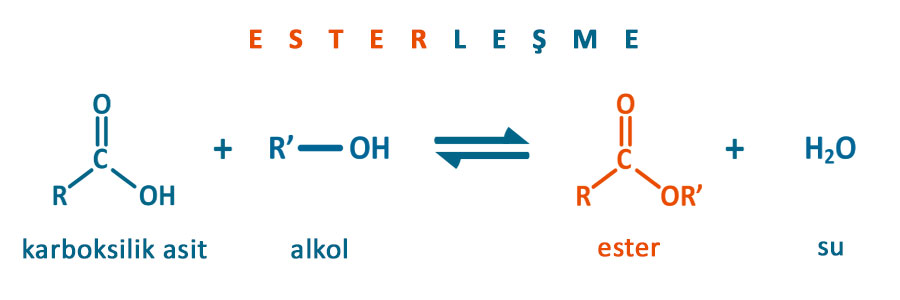 Ester nedir? Esterleşme ne demektir? Kısaca anlamı - Laf Sözlük