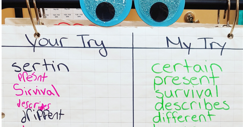 Your Try / My Try Spelling Chart | RUNDE'S ROOM