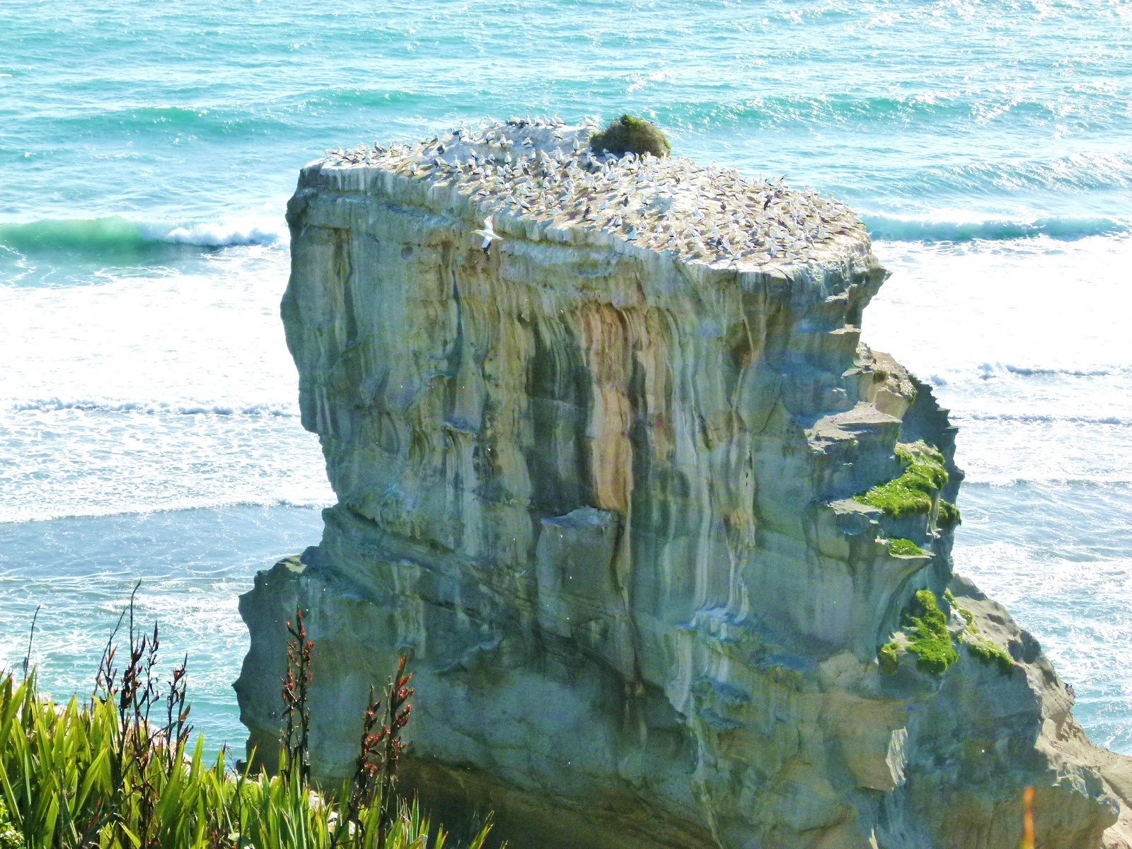 DIET COKE ROCKS: REALLY, REALLY SMELLY.