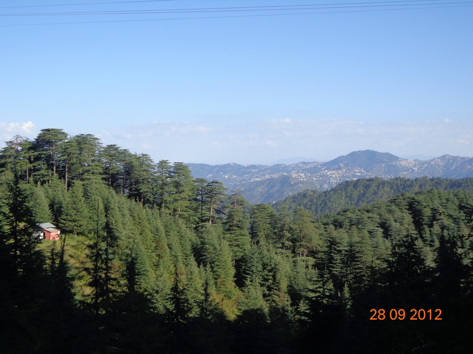 Chail Log Huts: Chail Log Huts