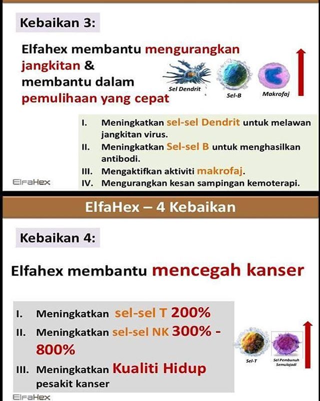 SmaLL ShOpe: ElfaHex