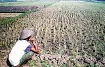 Sebab - Sebab Terjadinya Degradasi Lahan Pertanian | Insurance WCest