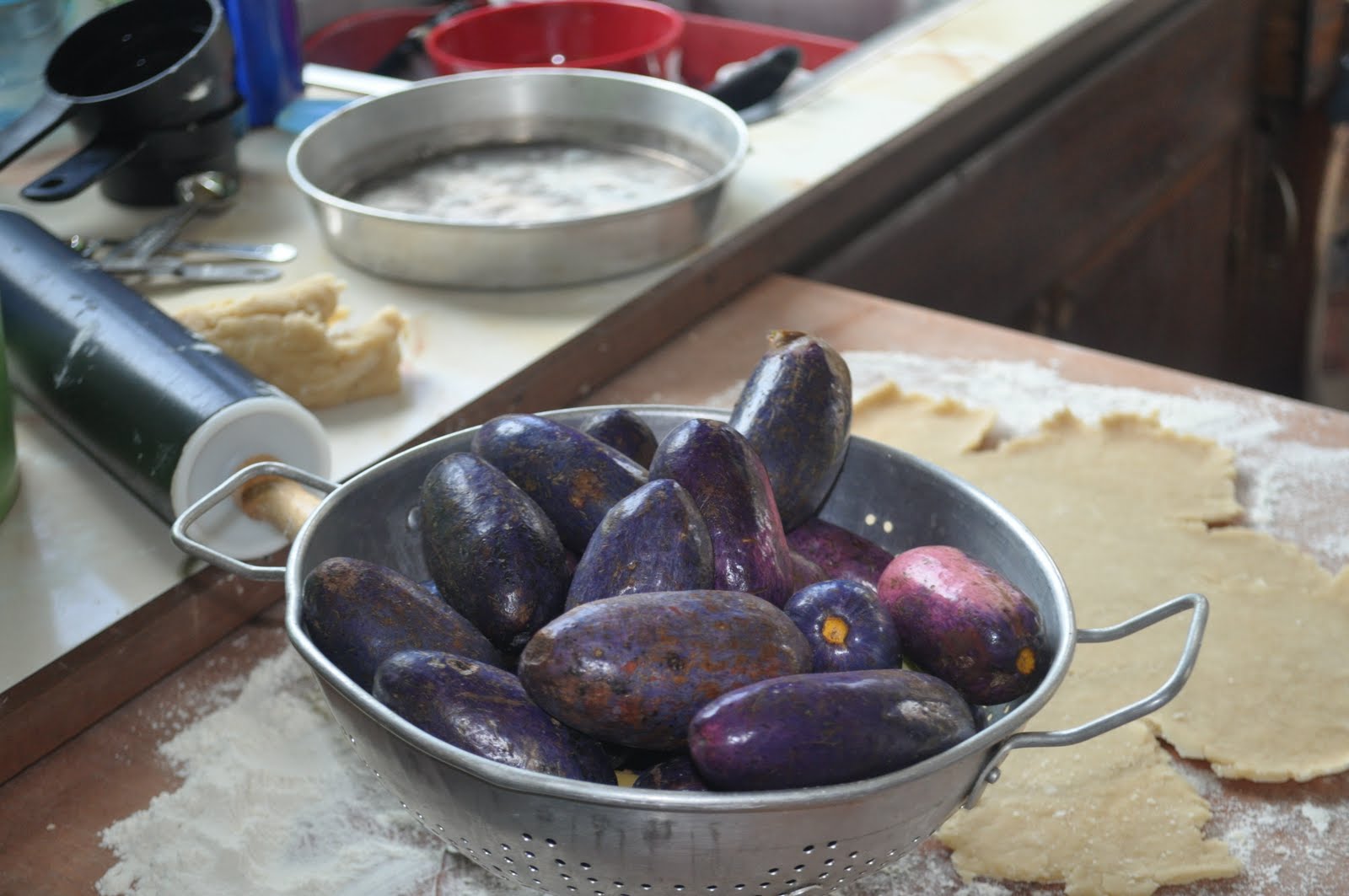 The Life and Times of Master Dr. Laura: Safu Pie