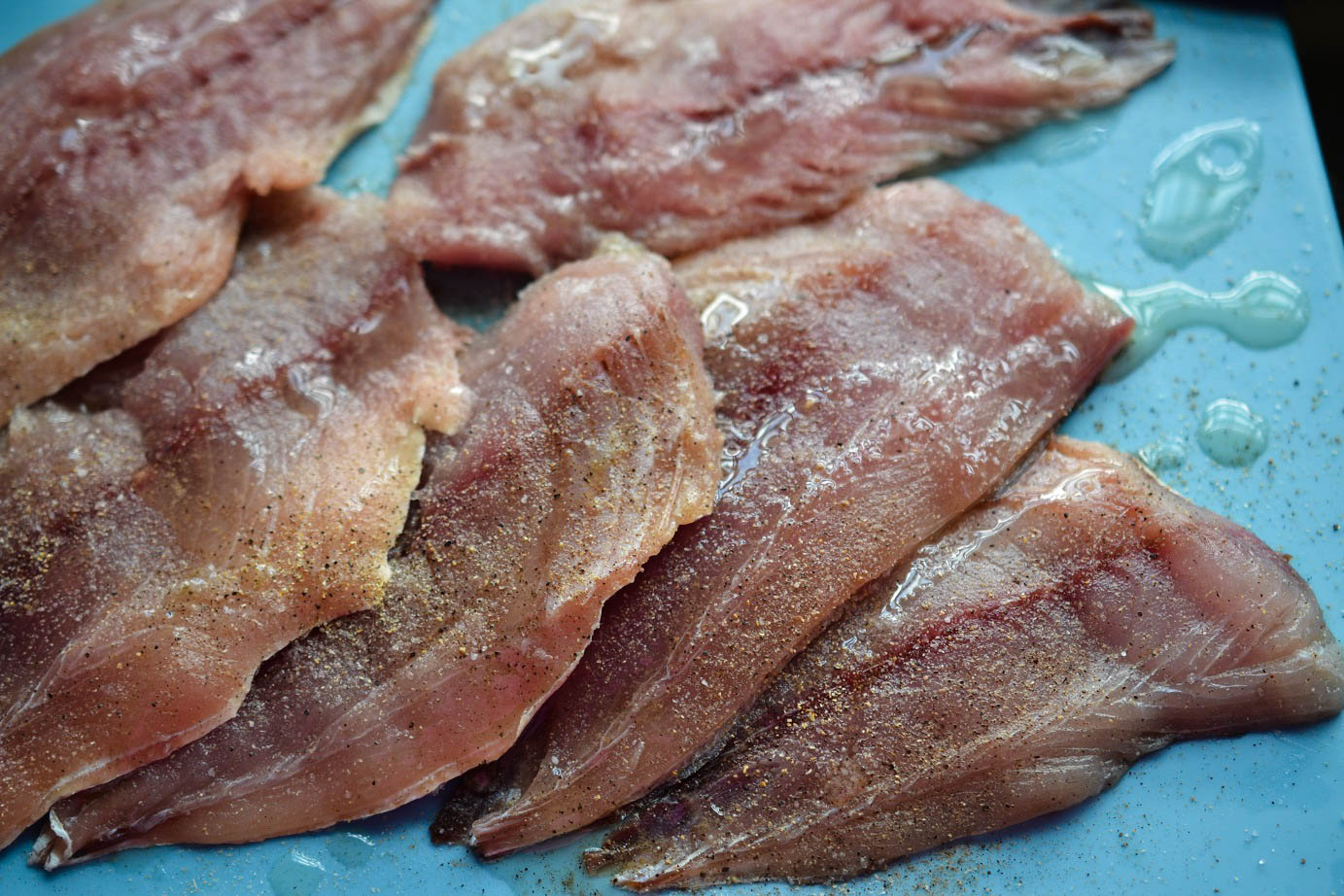 Greedy Girl : Jack-fish Tacos