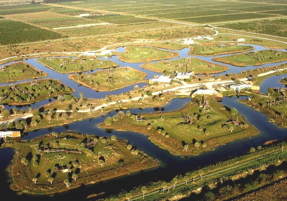 Save The Chimps - Chimpanzee Sanctuary Florida