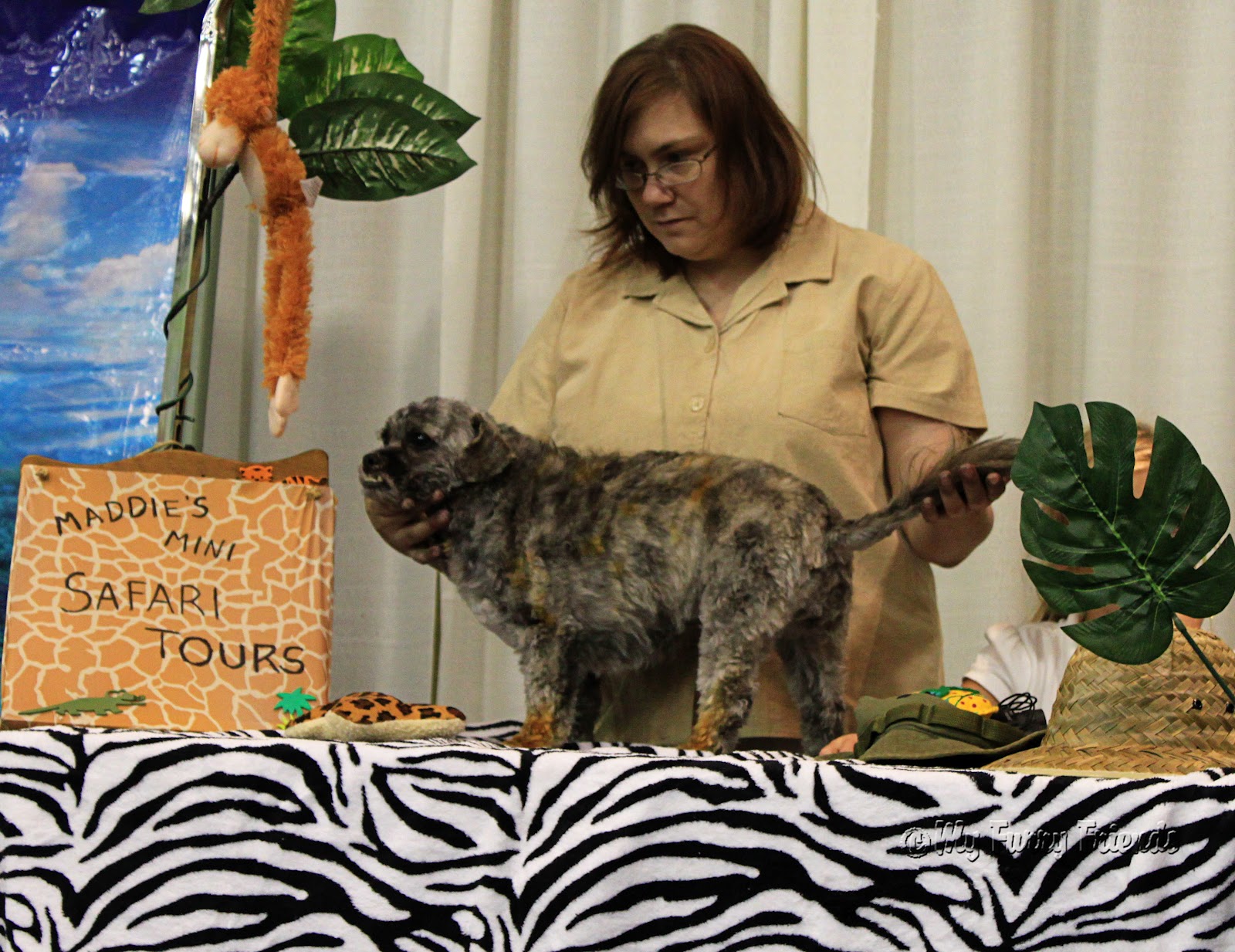 Pet Grooming: The Good, The Bad, & The Furry: Hershey Creative Grooming ...