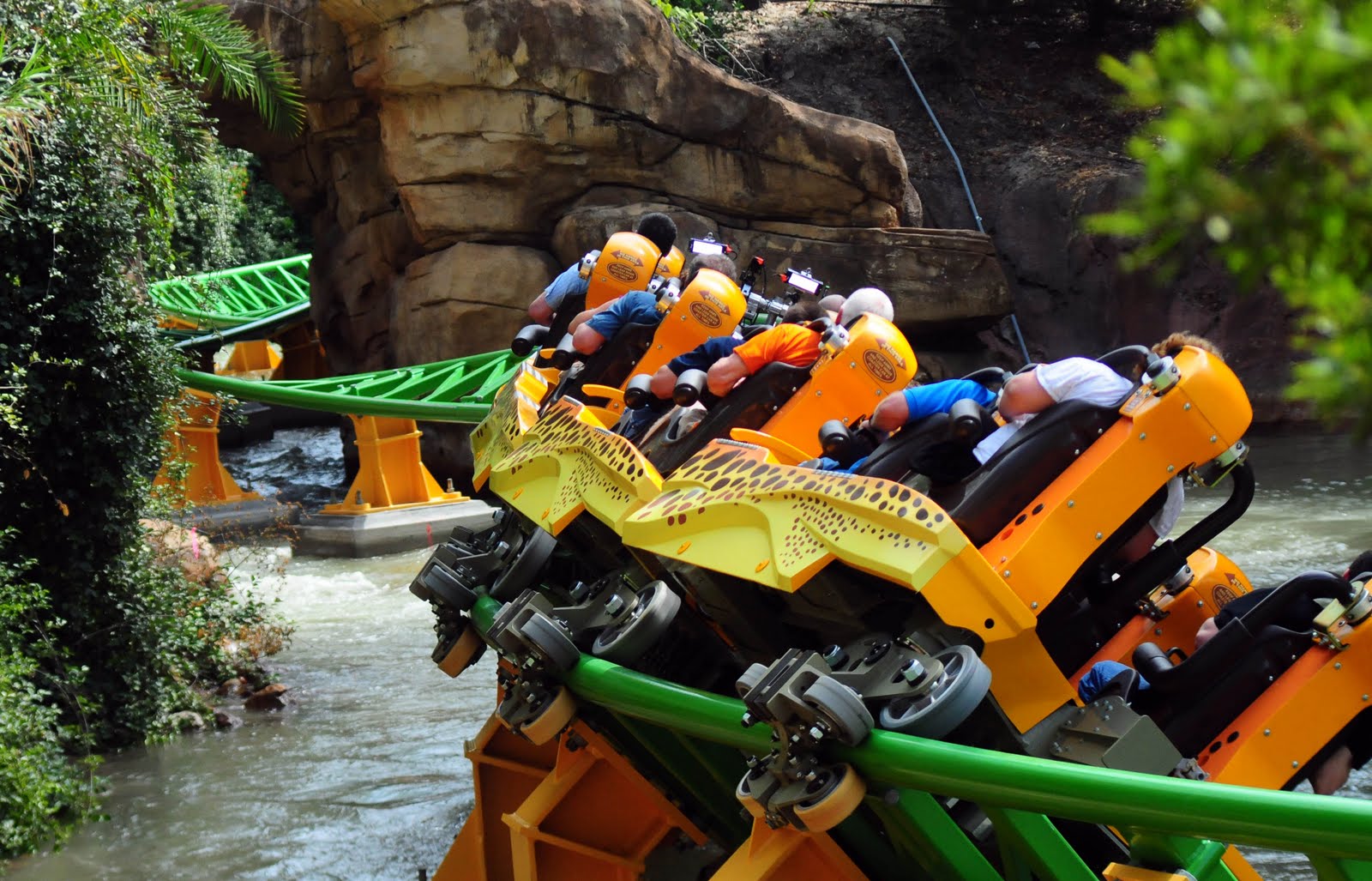 NewsPlusNotes: Scott And Carol Present - Cheetah Hunt Establishes It's ...